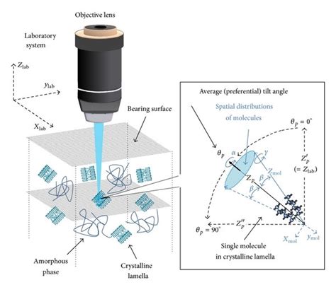 A Schematic Of The Selected Measurement Sections And Definition Of Download Scientific