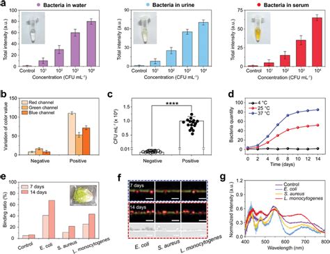 Point‐of‐care Testing Of Bacterial Infections In Real Systems A Download Scientific Diagram