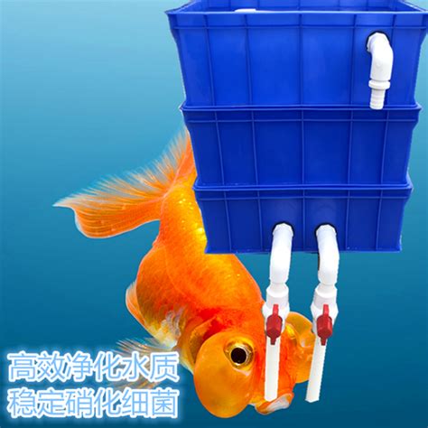 周转箱外置过滤盒自制DIY鱼缸过滤箱水族箱上滤滴滤龟箱过滤器 虎窝淘