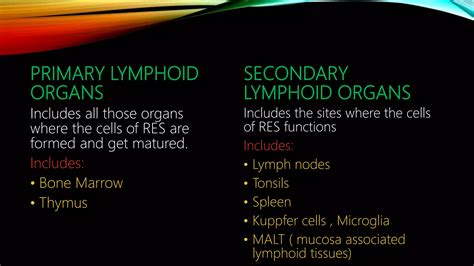 Components Development And Functions Of Res Reticulo Endo Thelial Cells Pptx
