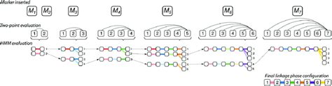 Example Of Linkage Phase Configuration Estimation Using Sequential