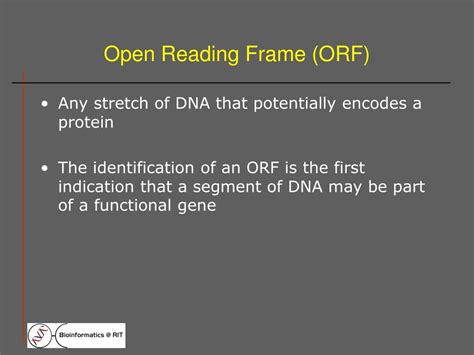 Ppt Biological Motivation Gene Finding Powerpoint Presentation Free Download Id6071552