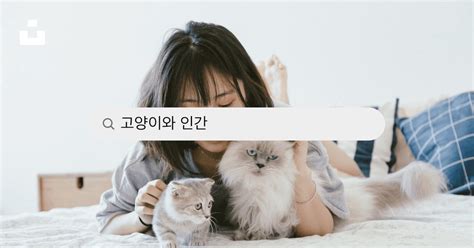 고양이와 인간 사진 Unsplash에서 무료 이미지 다운로드