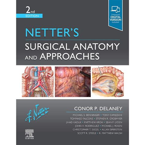 หนังสือ Netters Surgical Anatomy And Approaches กายวิภาคศาสตร์