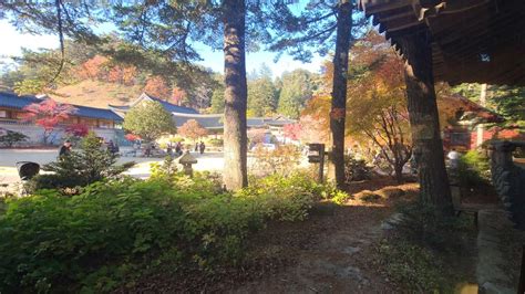 돈 없는 사람은 투자 못하나요 이런 소리 하는 이들을 멀리해라 돈 없으면 돈 벌 일을 해야지 투자가 웬 말 이냐 Youtube