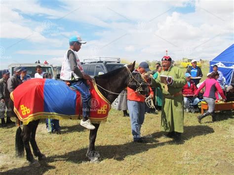 Сумын Алдарт уяач Б Булганбаяр Хүрэн морь маань сумынхаа наадамд
