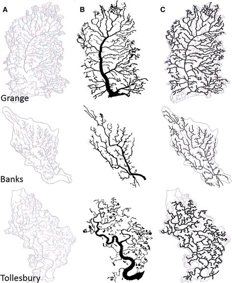 Creek Area And Skeleton Extraction Results From Three Out Of Thirteen