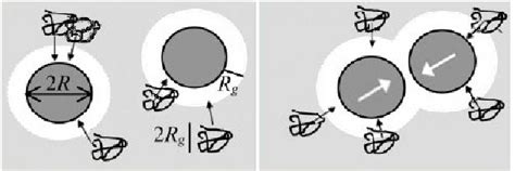 Schematic Illustration Of The Depletion Effect In A Colloid Polymer Download Scientific Diagram