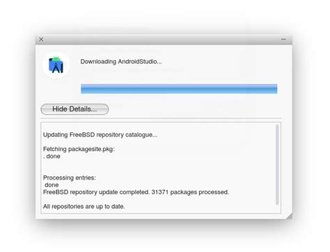 application downloader wrongly shows 100 progress · issue 126