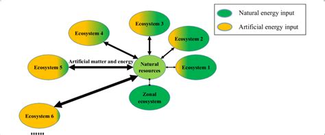Conceptual Model Of Ecosystem Evolution Download Scientific Diagram