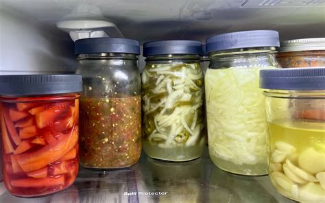 Vegetable Fermentation Guide Cultivating Roots