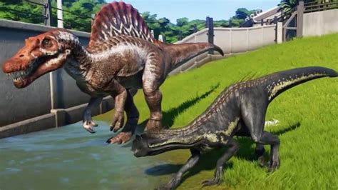 Espinossauro Primitivo Vs Raptor Quem Você Acha Que São Os Dez
