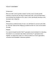 Lab Mouse Genetics Pdf RADLEY DEZEMBER Introduction Mice Are Often Used In Genetic Research