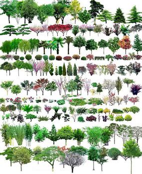 ps植物立面图片 ps植物立面设计素材 红动中国