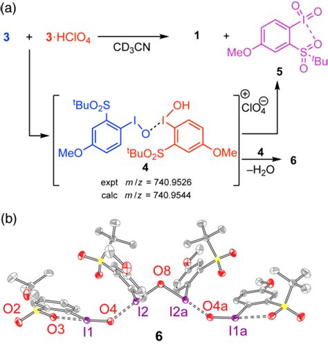 A Redox Disproportionation Of 3 And 3·hclo4 Via Intermediate 4 B Download Scientific