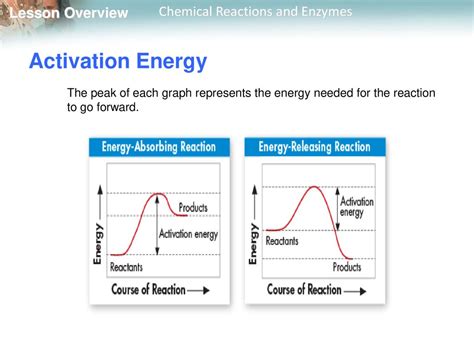 24 Chemical Reactions And Enzymes Ppt Download