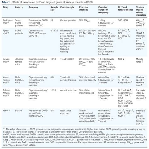 Exercise Activates Nrf2 To Improve Skeletal Muscle Dysfunction In Download Scientific Diagram