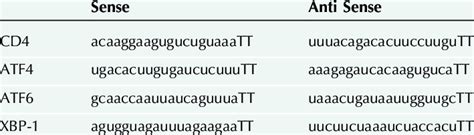 Rna Sequences Of The Sirna Download Table