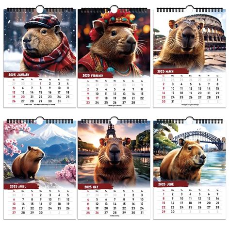 2025 Journey Of The Capybara Calendar 2025 Calendar חג המולד Shein Il