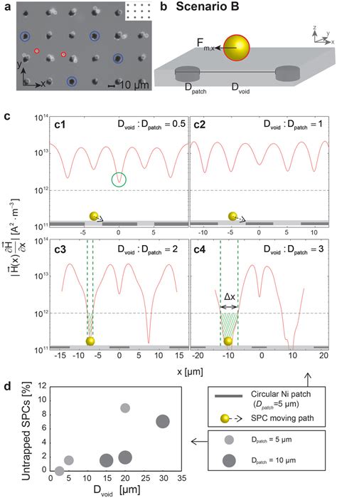 Microfluidic Synthesis Of Hydrogel Microparticles With