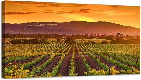 Large Canvas Wall Art Napa Valley California Wine Country