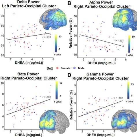 Interaction Effect Of Dhea And Sex Scatter Plots Display The
