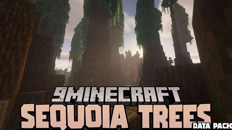 Sequoia Trees Data Pack 1minecraft