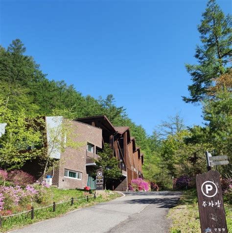 무주숙소 국립 덕유산자연휴양림 연립동 8인실 향나무 숙박후기숲속의 집 못지 않은 호젓함을 갖춘 신축객실 네이버 블로그