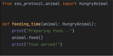 We Need To Talk About Protocols In Python Idego Group