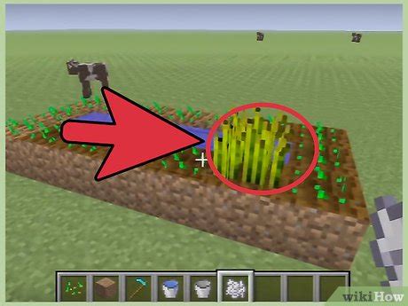 How To Grow Wheat In Minecraft Steps With Pictures WikiHow