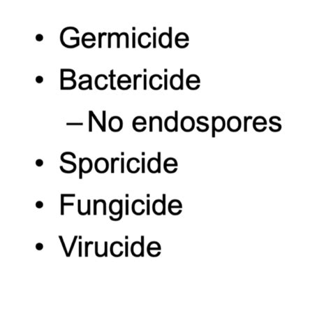 Lecture Exam Flashcards Quizlet Lecture Exam Flashcards Quizlet