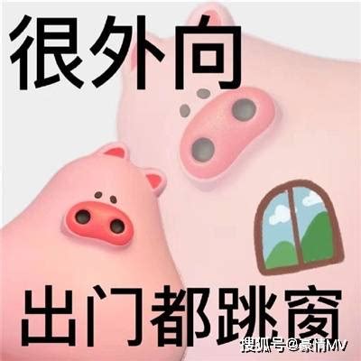 社牛人专用表情包2023 很外向社牛搞笑表情图片