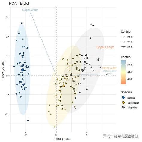 R语言主成分分析可视化 颜值高，很详细 知乎