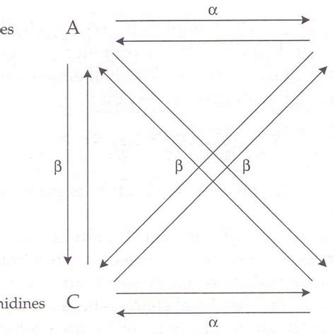 Pdf Nucleotide Substitution Models