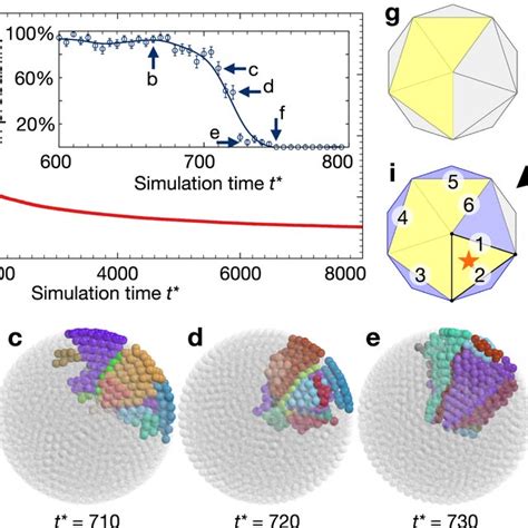 Kinetic Bifurcation In Simulation Trajectories Of Hard Spheres Explains