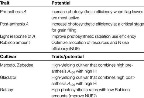 Traits And Cultivars Of Interest For Breeding Increased Wheat Yields In Download Scientific