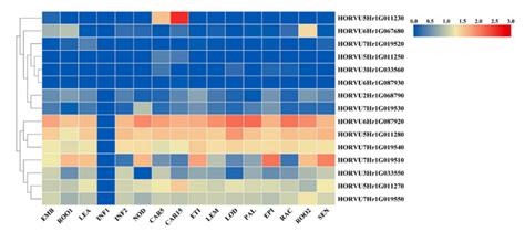 Ijms Free Full Text Genome Wide Association Study On Total Starch