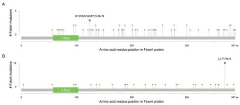 Fbxo4 Encyclopedia Mdpi