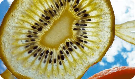 Redmi 9 Prime 9 999 Prime Time All Rounder Mi India