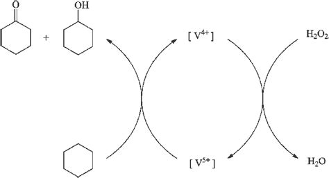 Cyclohexane Oxidation Pathway Over Vpo Catalyst Reproduced With