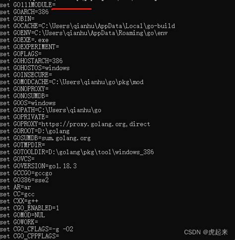 Go Cannot Find Main Module But Found Gitconfig In To Create A