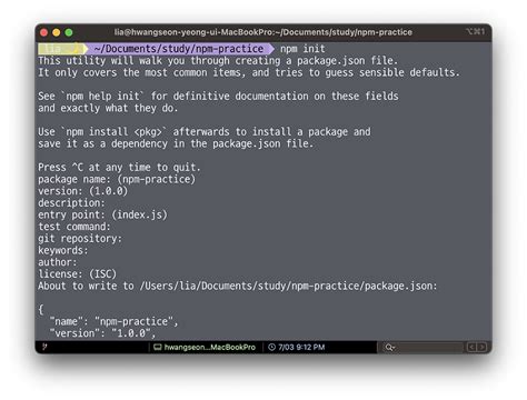 Npm Init으로 Npm Packagejson 생성하기