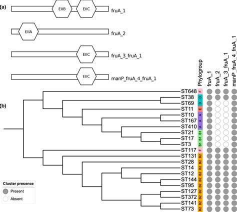 A Phosphotransferase System Components Encoded By Four Frua Annotated Download Scientific