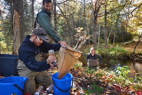 Macro Invertebrate Sampling Shediac Bay Watershed Association