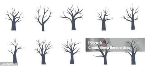 독특한 가지 구조와 높이를 가진 겨울의 다양한 벌거벗은 나무를 묘사한 벡터 일러스트레이션 모음 개념에 대한 스톡 벡터 아트 및 기타 이미지 Istock