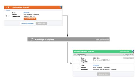 Case Merge Premium For Salesforce Vicasso