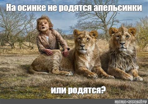 Meme На осинке не родятся апельсинки или родятся All Templates Meme