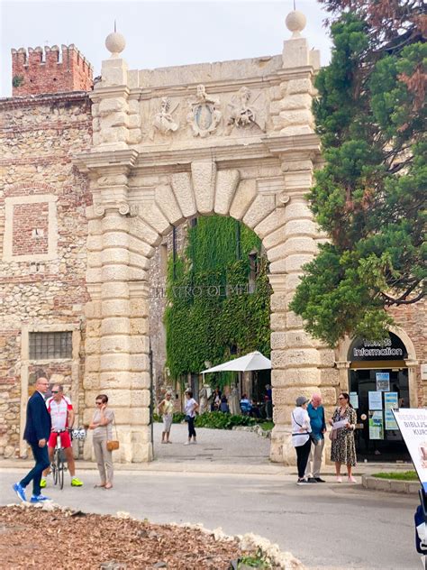 Siser Juliet Preorder Details