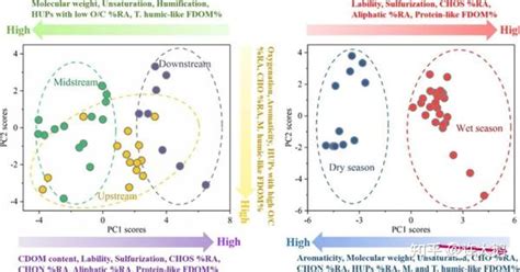 如何制作高质量的图文摘要（graphical Abstract），建议收藏！ 知乎