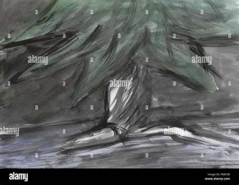 Tree Roots Background Stock Photo Alamy